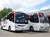 Groups & Charters Service | AAT Kings US