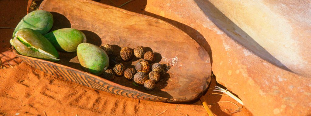 The Beginners Guide to Australian Bush Tucker - AAT Kings